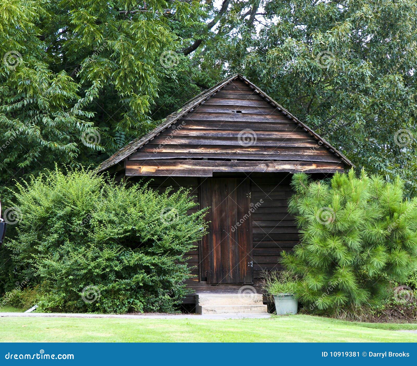 Old Barn in Trees stock image. Image of trees, wood, worn - 10919381