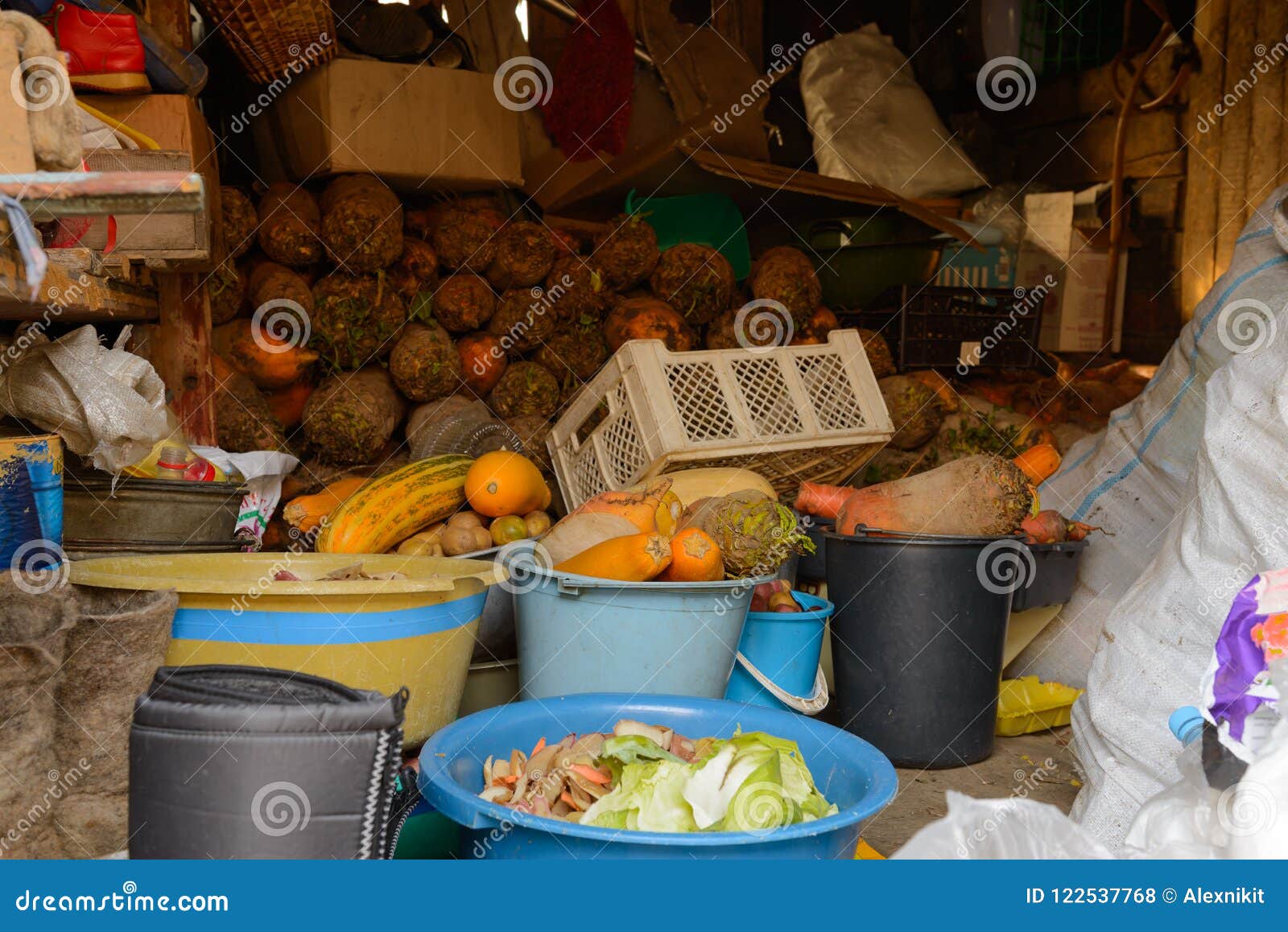 Old barn with vegetables stock photo. Image of harvest - 122537768