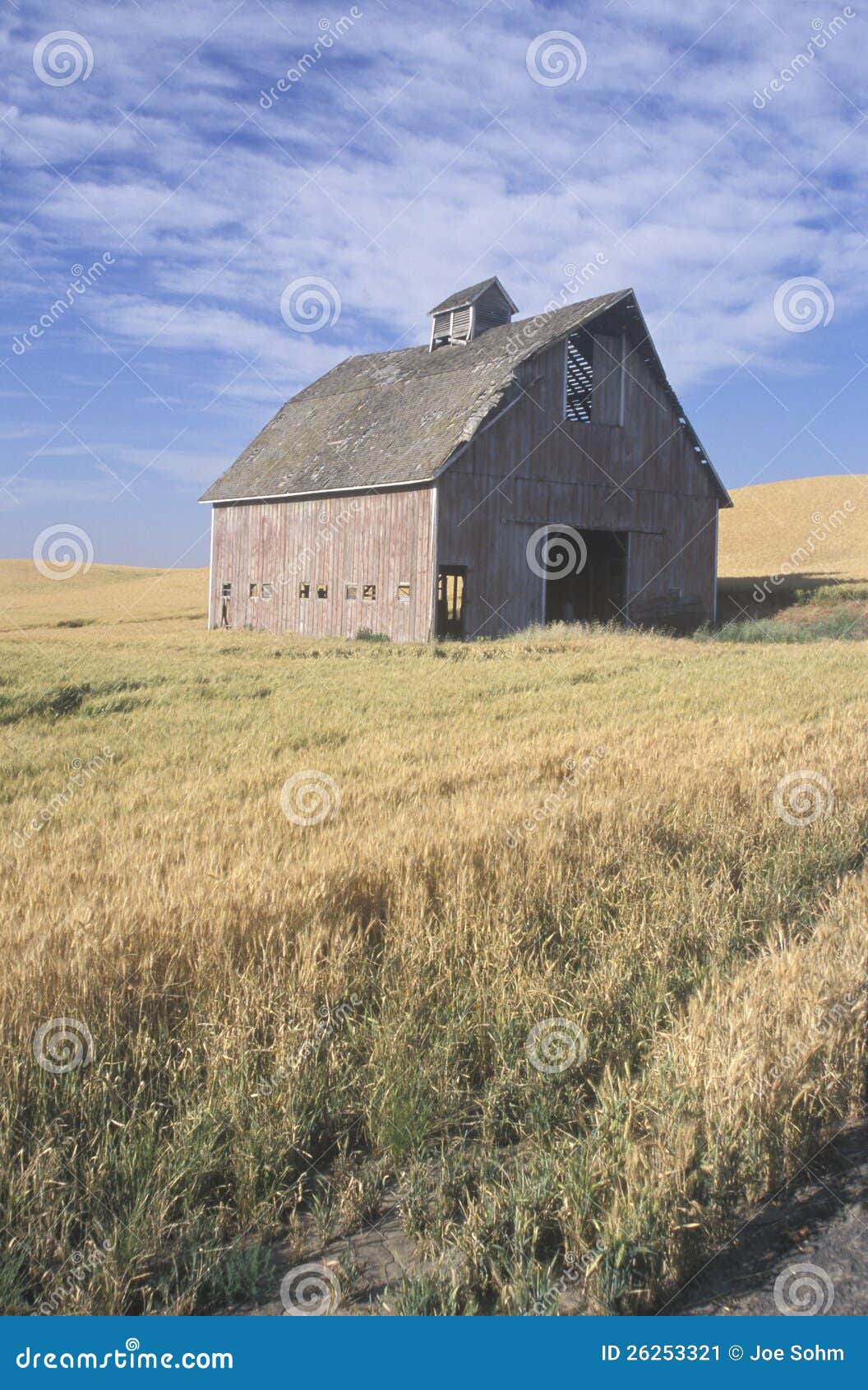 An Old Barn in a Wheat Field Stock Image - Image of barns, blue: 26253321