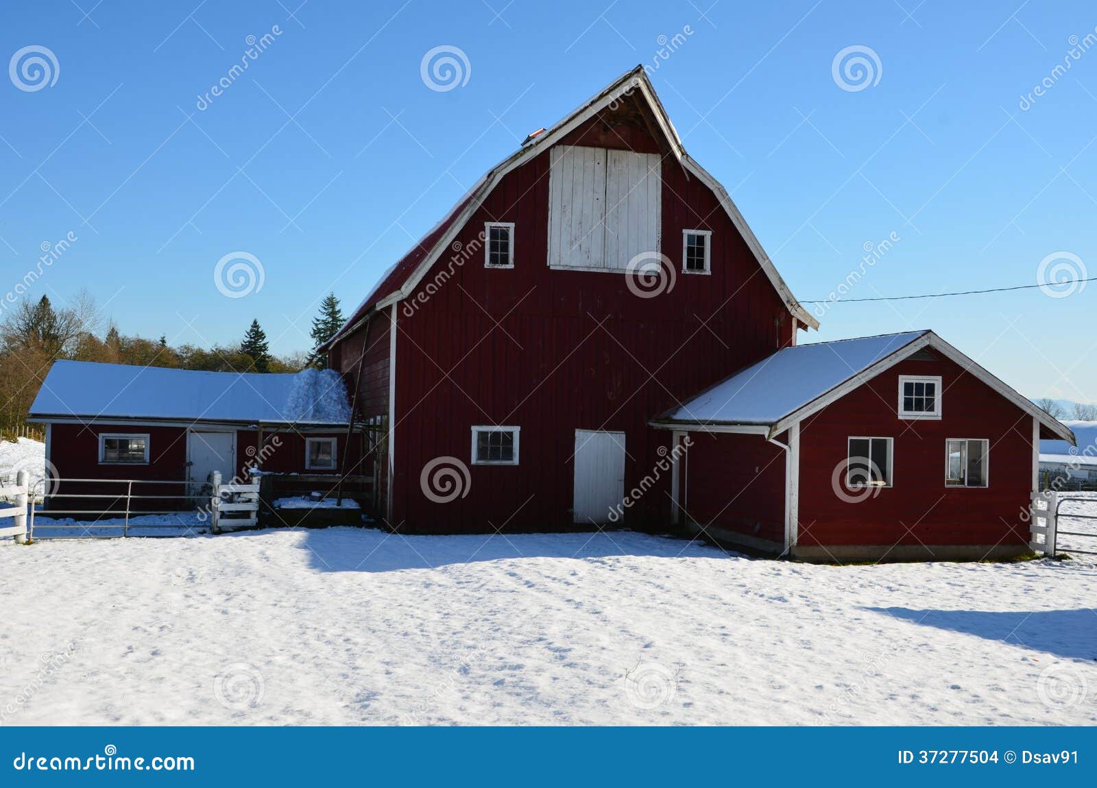 Old Barn in winter stock photo. Image of milkhouse, cattle - 37277504