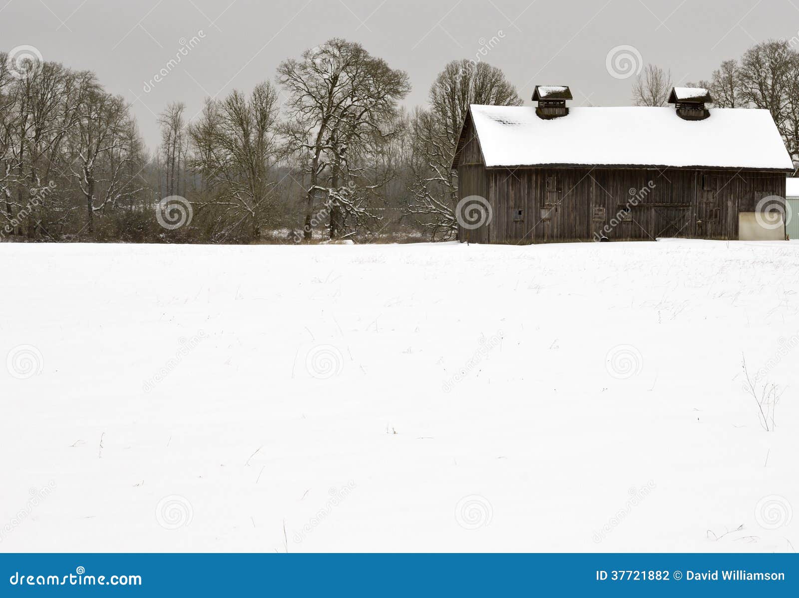 Old Barn in Winter stock photo. Image of winter, leafless - 37721882