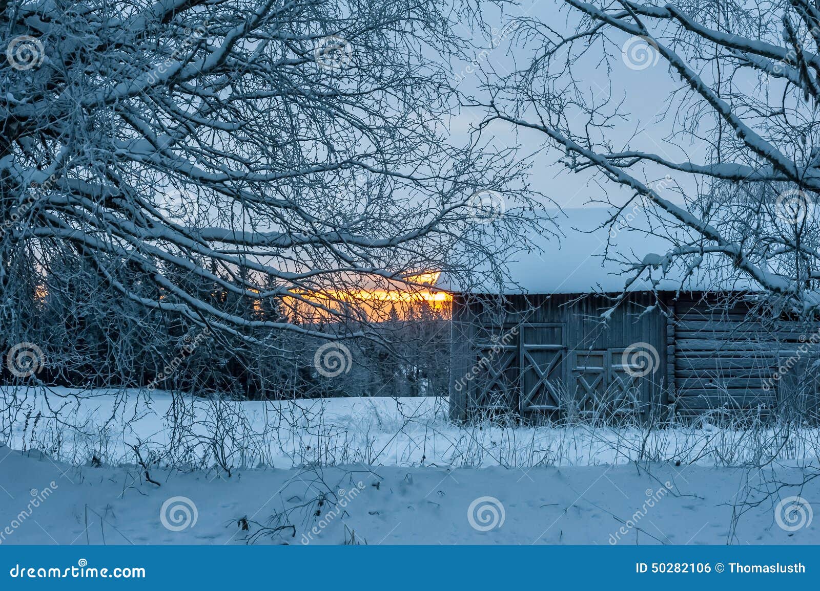 Old barn in winter stock photo. Image of snowy, frost - 50282106