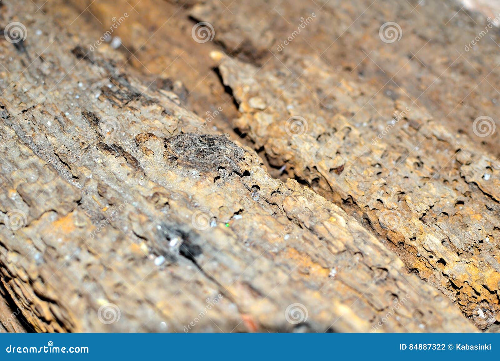 Old Barn Wood Background Texture Stock Photo - Image of wood, abstract ...