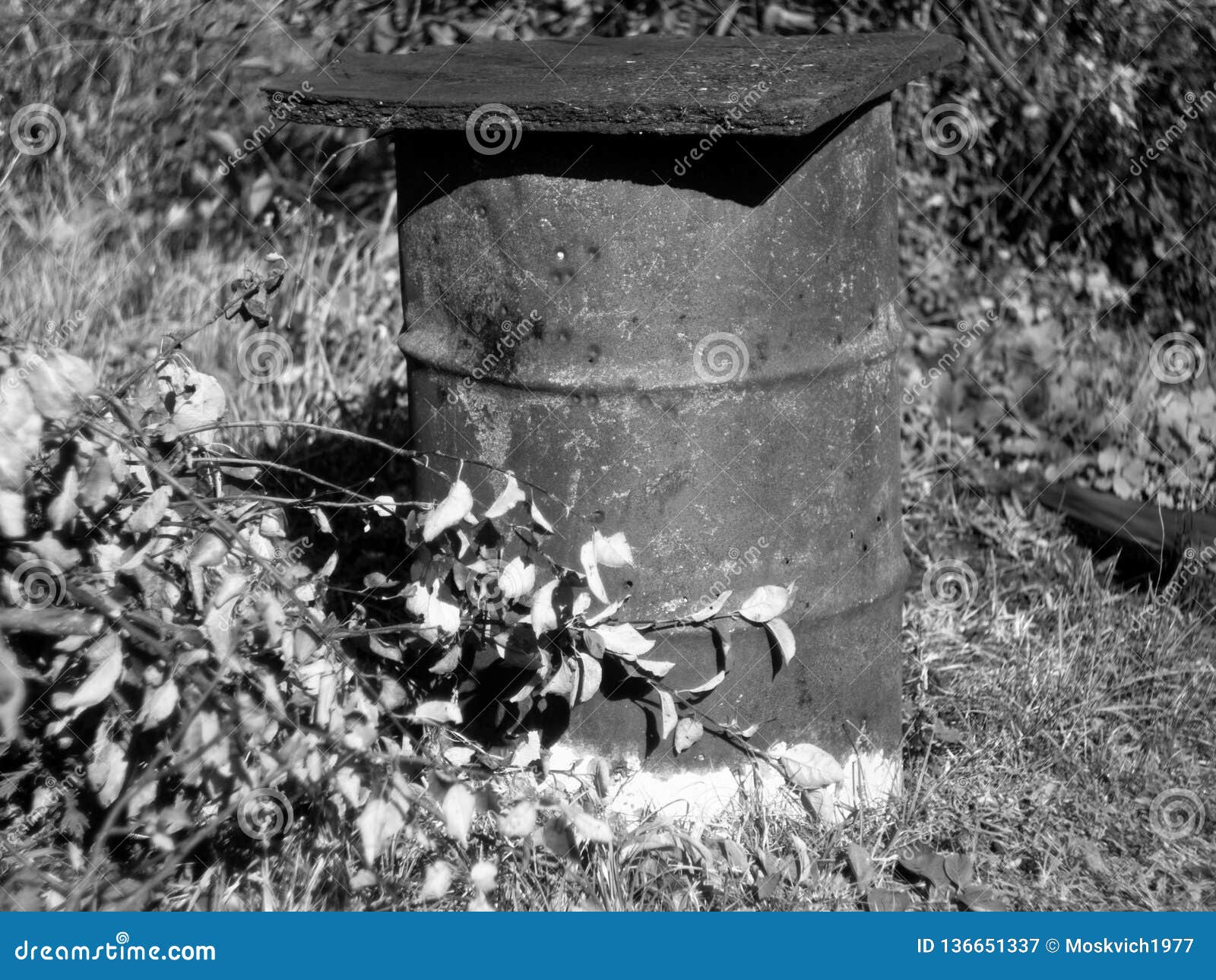 Old Barrel of Trash in the Fall in the Garden Stock Image - Image of ...