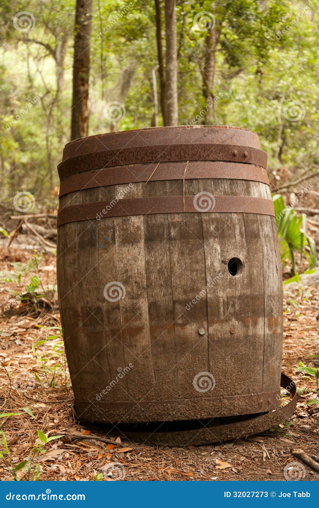 Old Barrel stock image. Image of woods, leaf, forest - 32027273