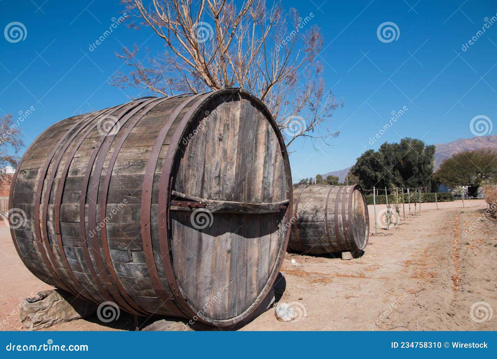 Old barrels in the area stock photo. Image of vintage - 234758310