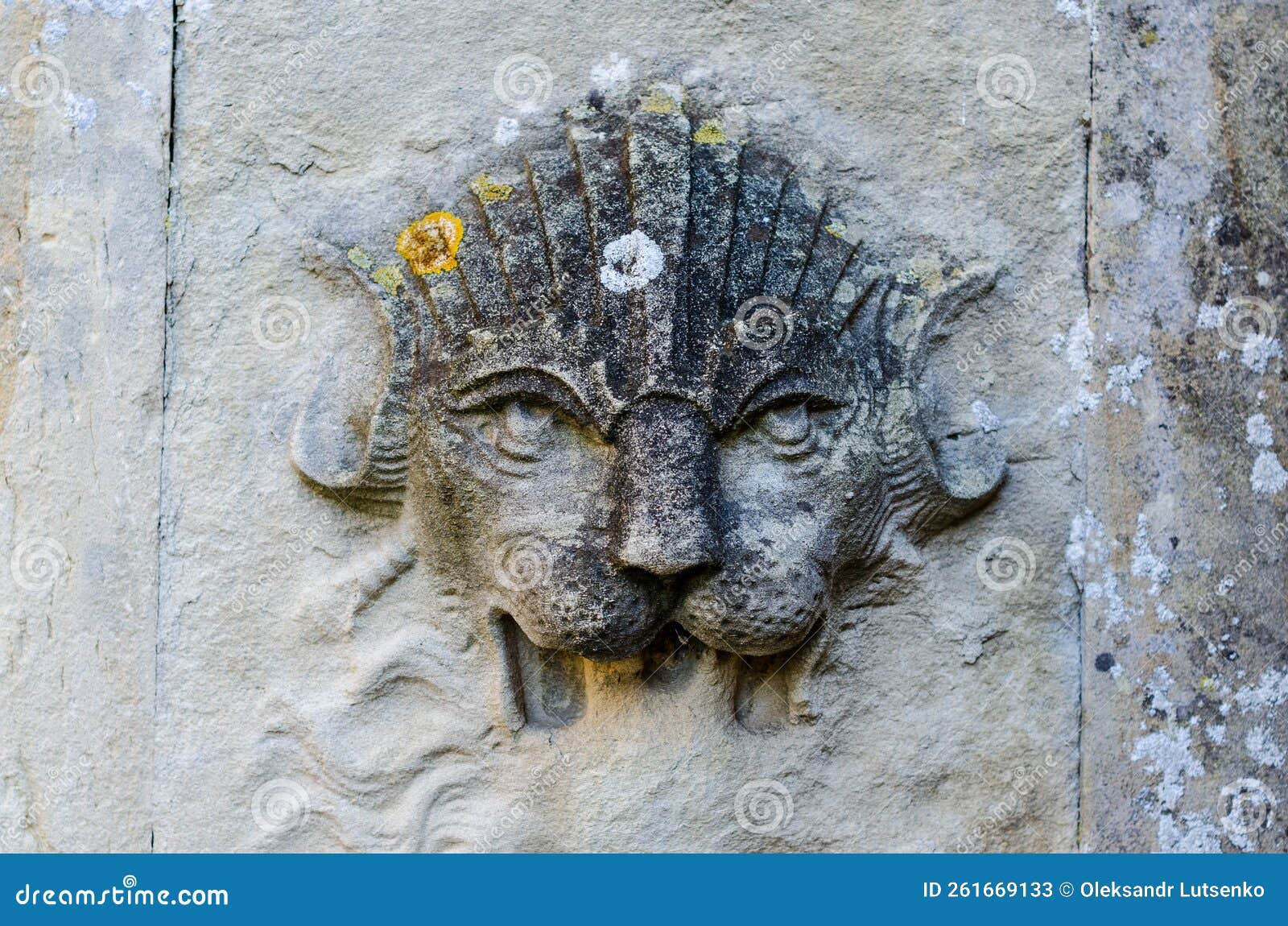 Old Bas-relief of Lion on the Castle Wall Stock Image - Image of ...