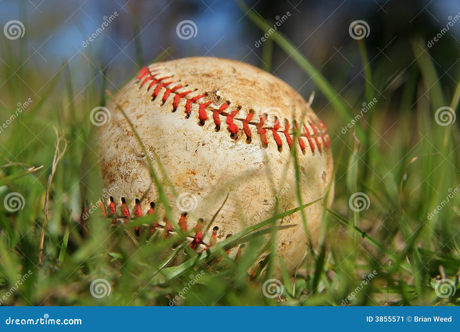 Old Baseball in the Grass stock image. Image of sports - 3855571