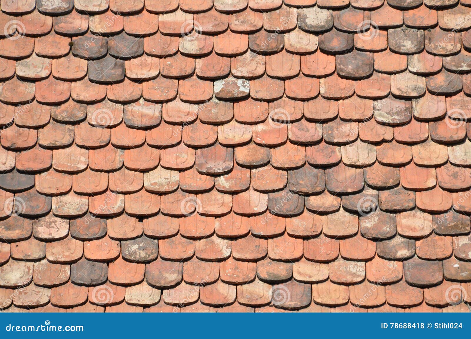 Old beaver tail pan tiles stock photo. Image of tail - 78688418