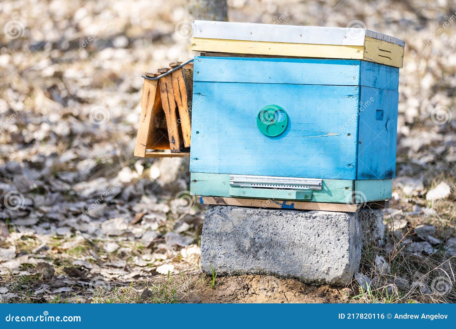 Old Bee Hives in the Apiary in the Spring. Stock Photo - Image of ...