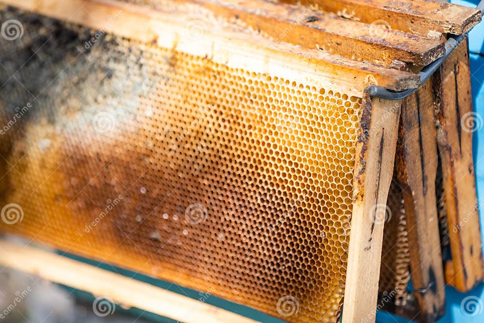 Old Bee Hives in the Apiary in the Spring. Stock Image - Image of ...
