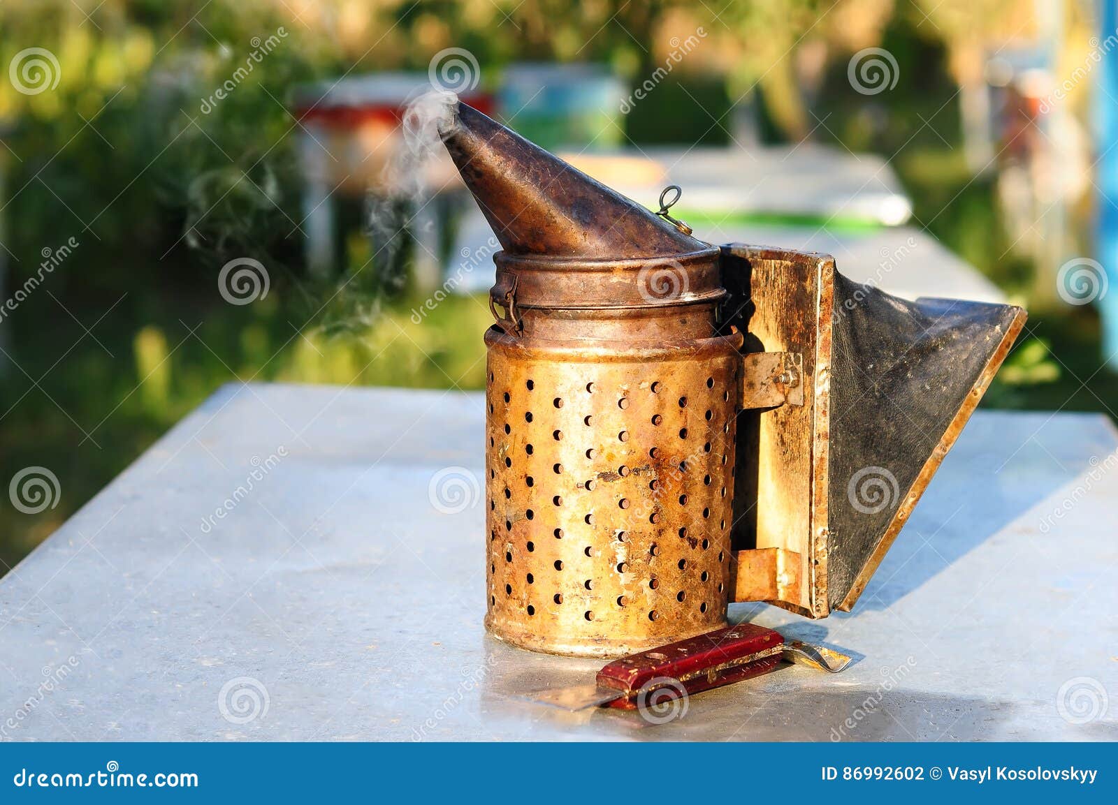 Old Bee Smoker. Beekeeping Tool. Apiary Stock Photo - Image of garden ...