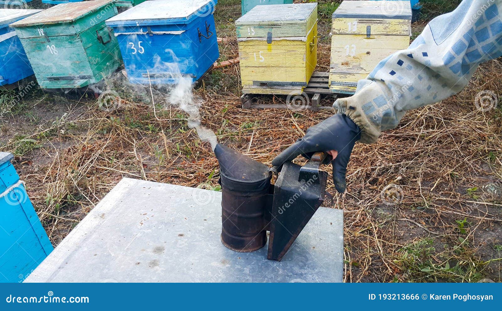 Old Bee Smoker. Beekeeping Tool Stock Photo - Image of profession ...