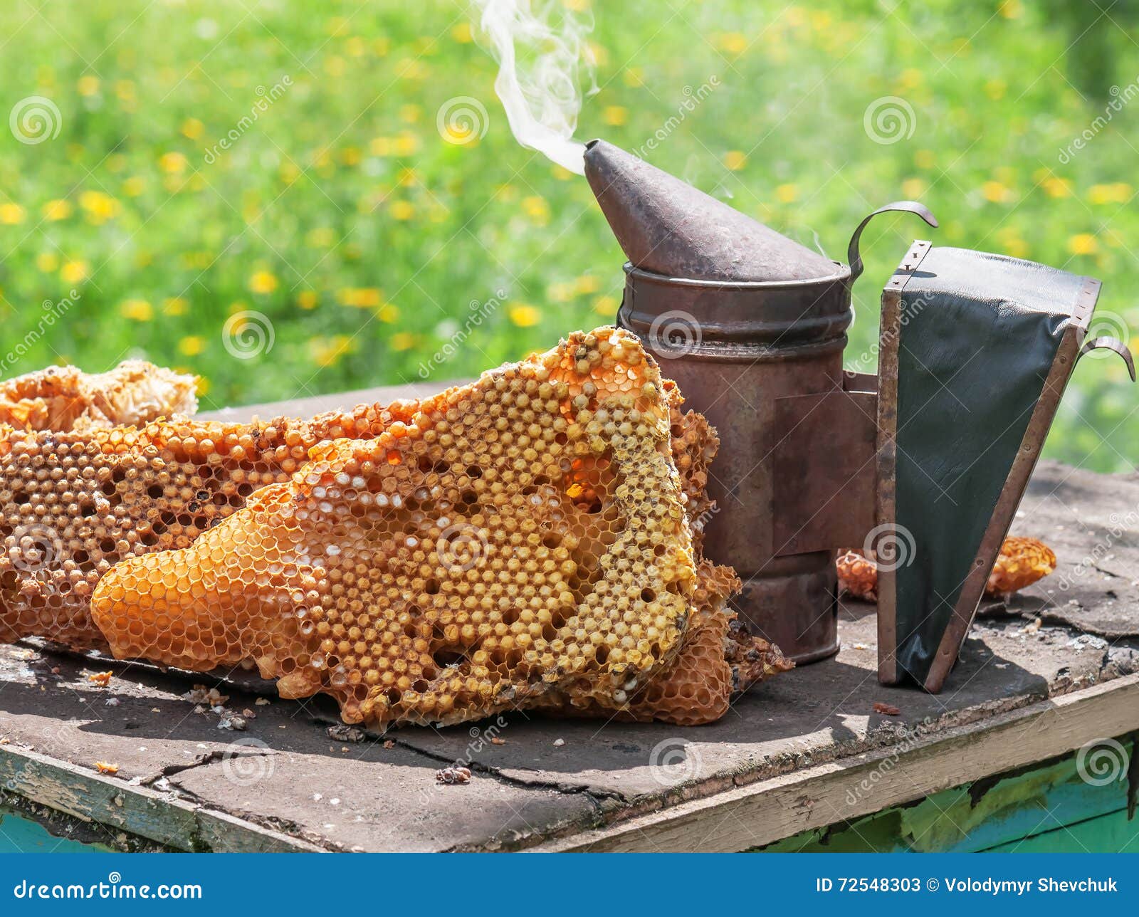 Old bee smoker stock image. Image of manual, apiculture - 72548303