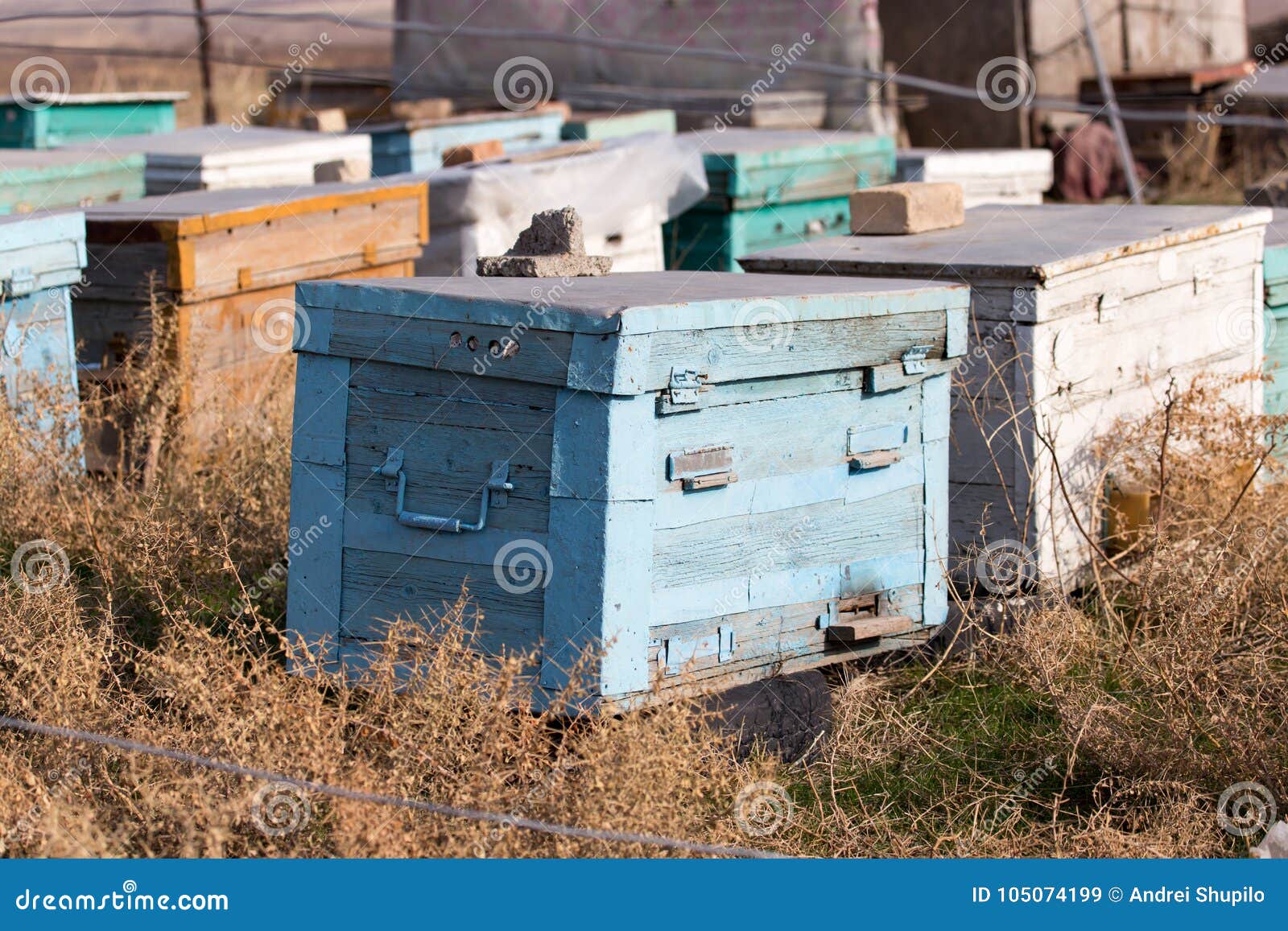 The old beehive bees stock image. Image of summer, beekeeper - 105074199