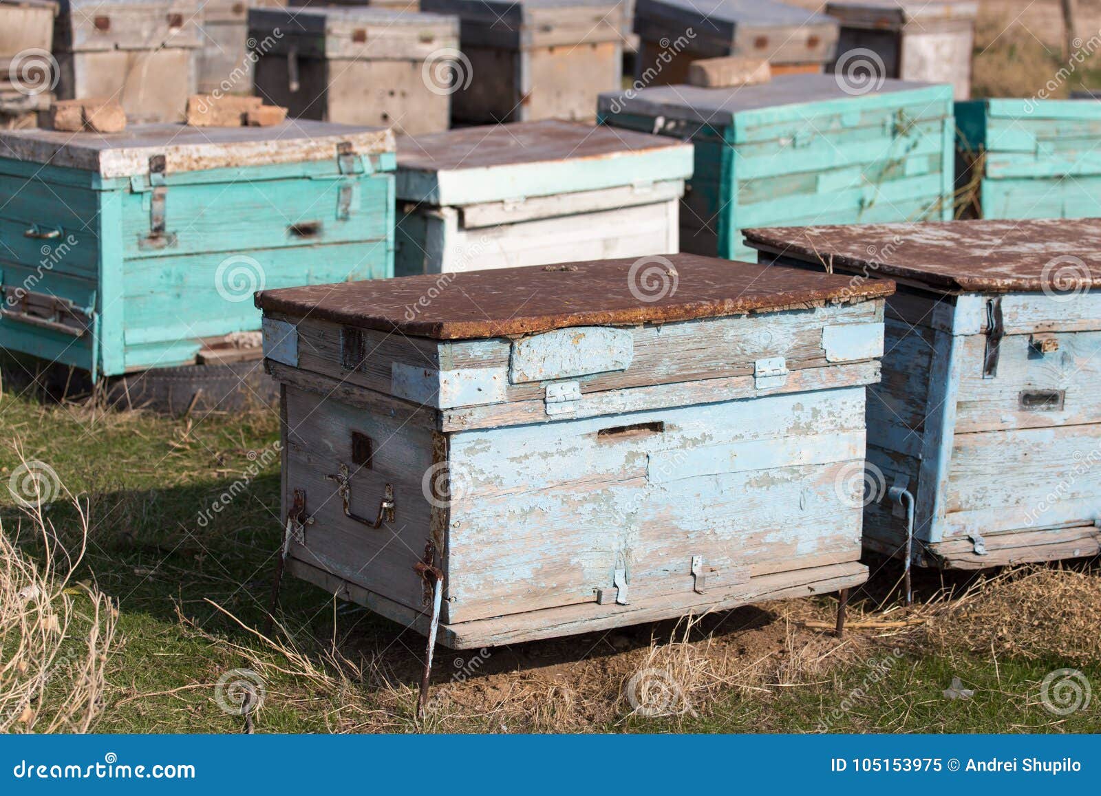 The old beehive bees stock image. Image of nature, apiary - 105153975
