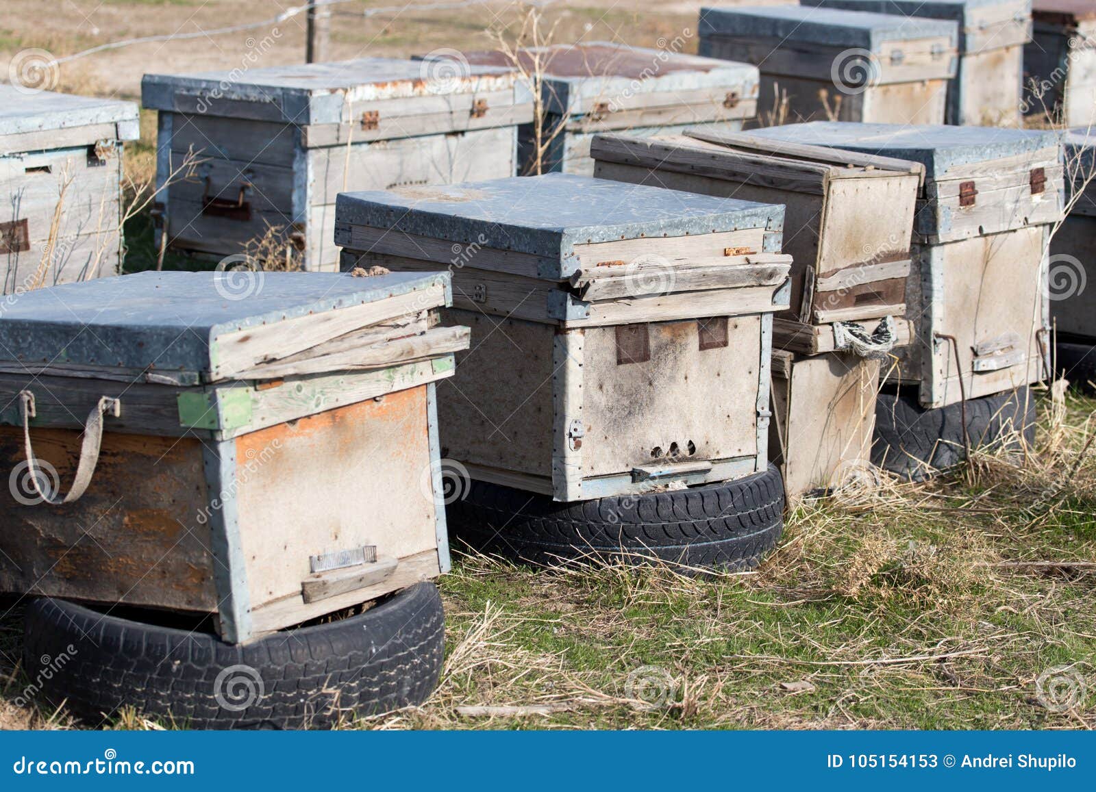The old beehive bees stock image. Image of house, natural - 105154153