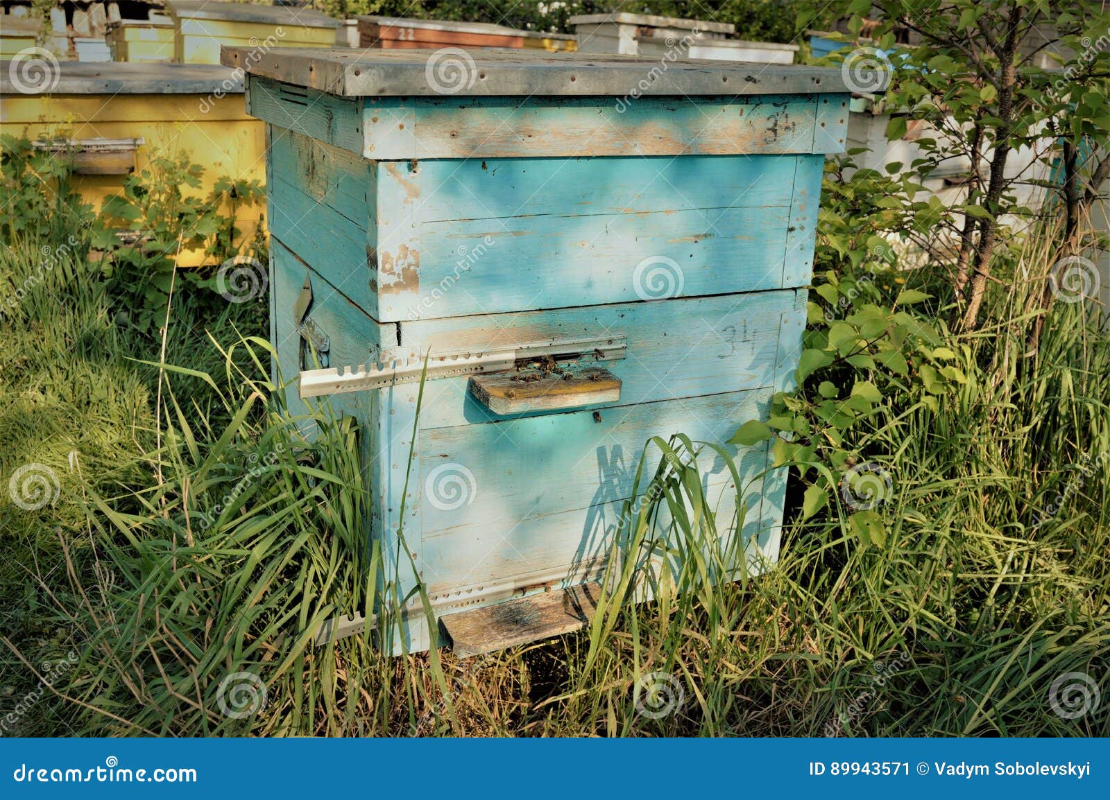 Old beehive stock image. Image of apiary, apis, family - 89943571