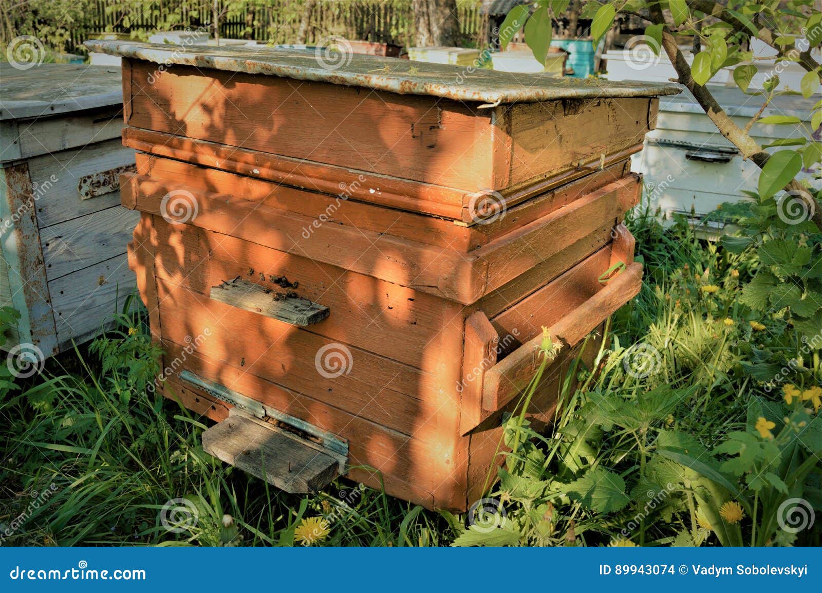 Old beehive stock photo. Image of colony, apis, elder - 89943074
