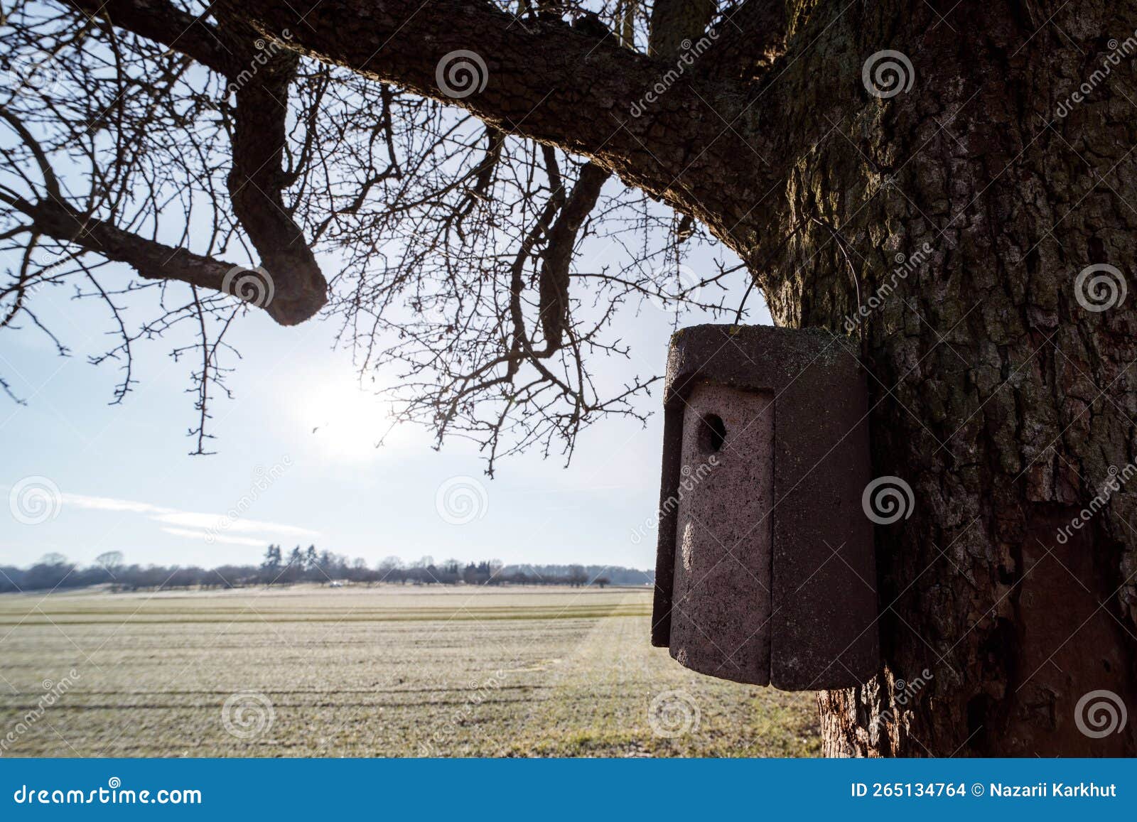 The Beehive, A Beehive Hanging From A Tree Stock Photography ... The Beehive, A Beehive Hanging From A Tree Stock Photography ...