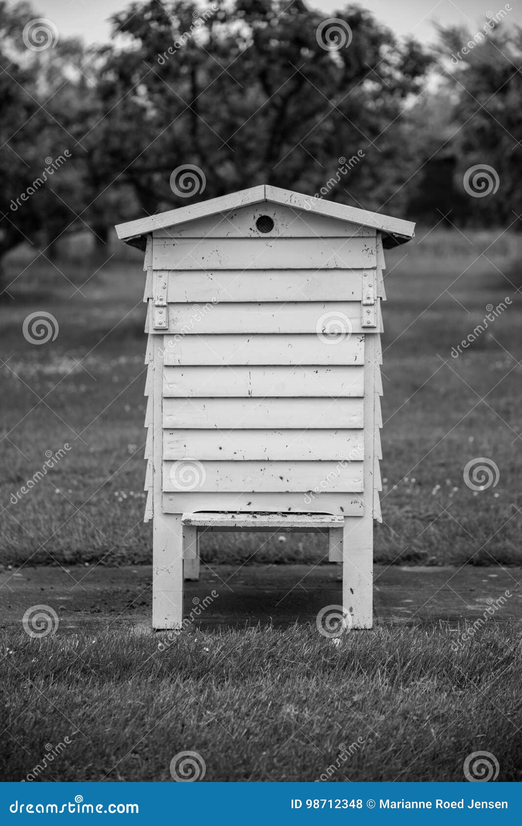 The old beehive stock photo. Image of monochrome, shot - 98712348
