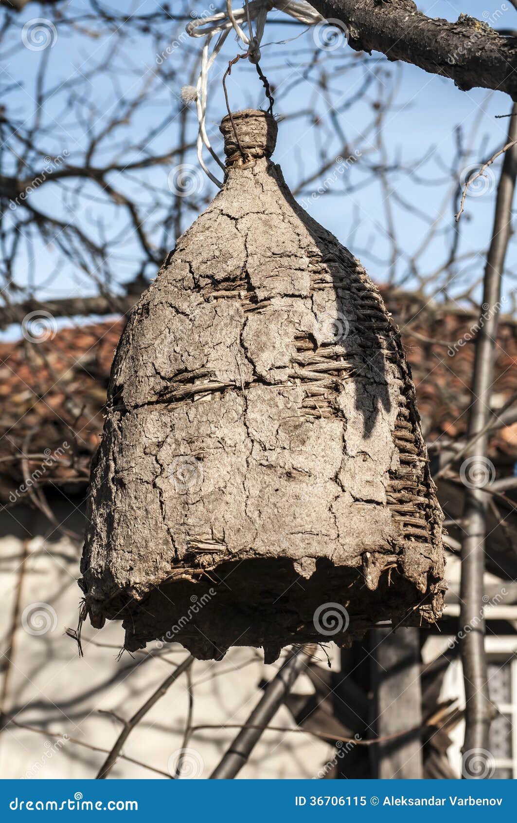 Old beehive for wild bees stock image. Image of grunge - 36706115