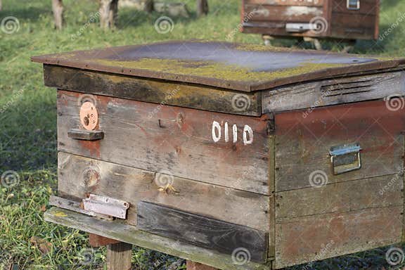 Old Beehives in the Apiary in the Spring Stock Image - Image of dessert ...
