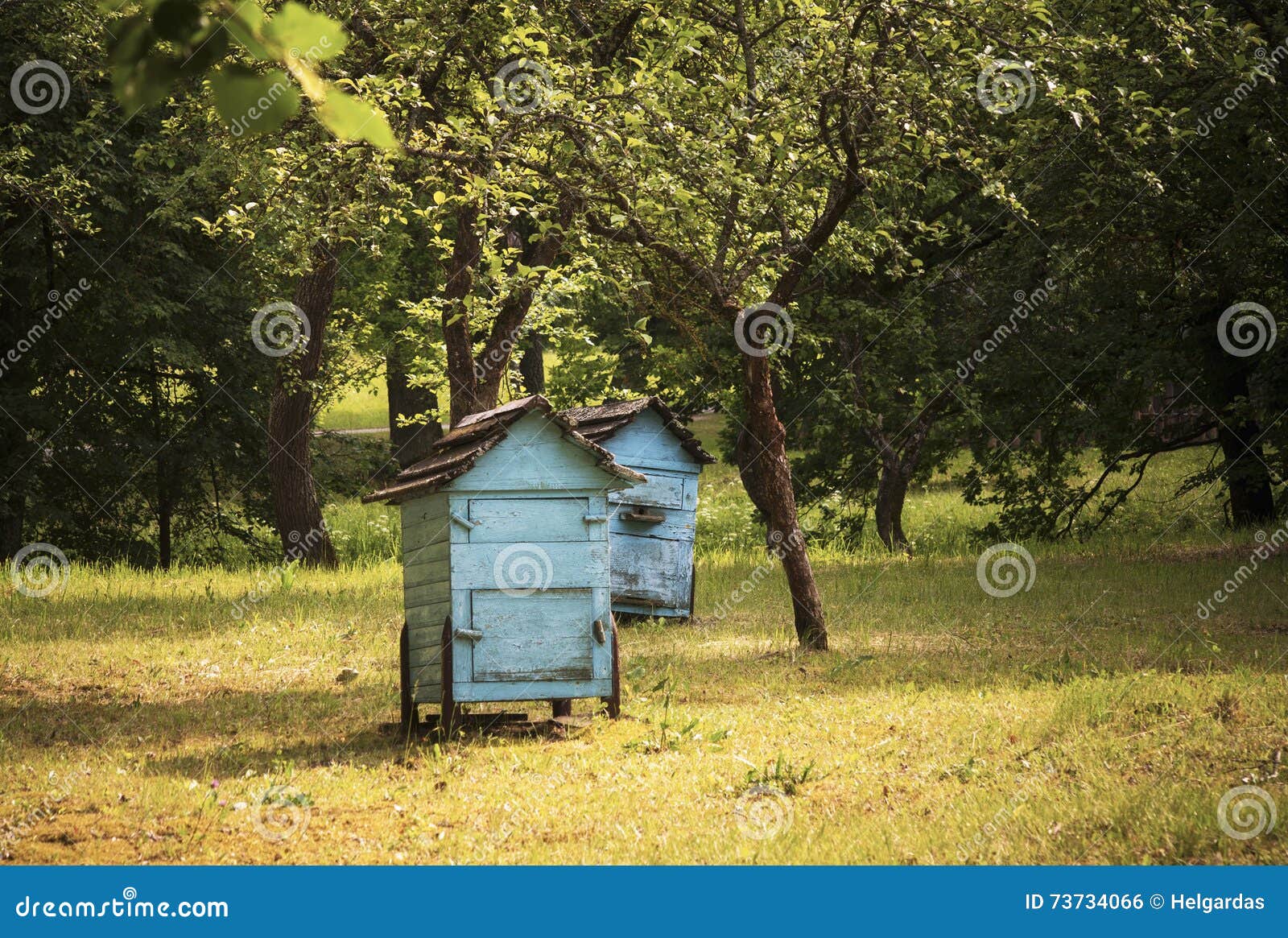 Old beehives stock photo. Image of apiculture, grass - 73734066
