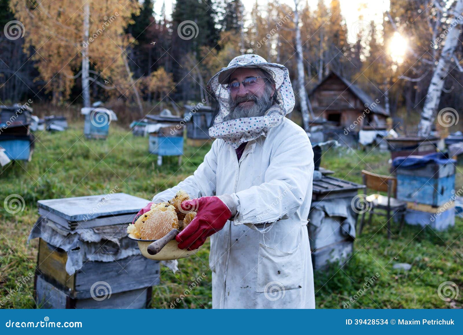 Old Beekeeper Gathers Honey Editorial Stock Image - Image of protective ...