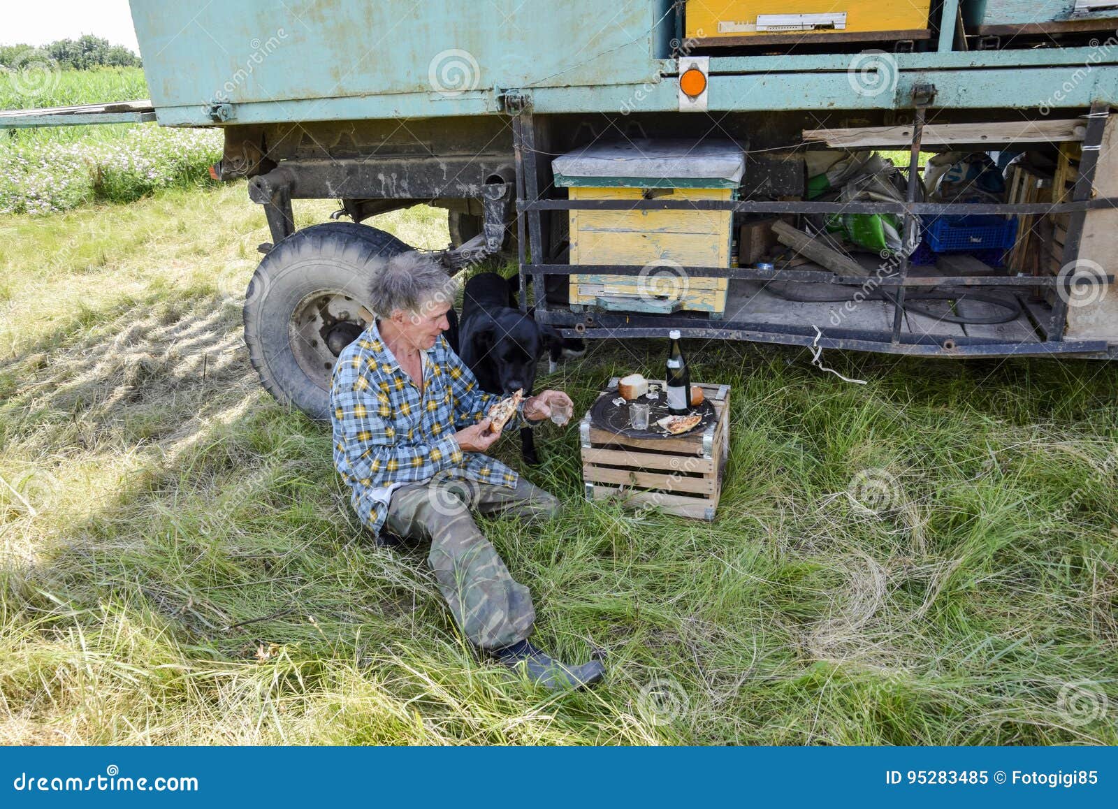 The Old Beekeeper Lunches at the Hut with a Hive and Feeds His Dog ...