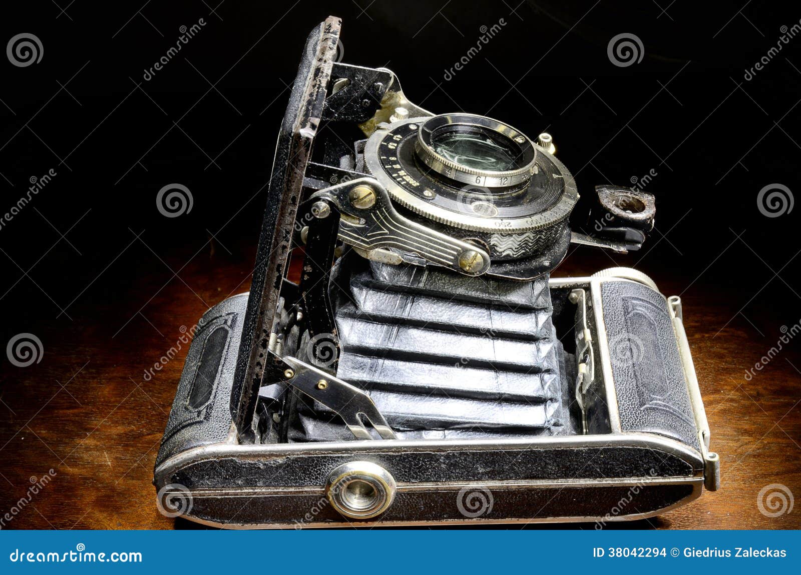 Old bellows camera stock photo. Image of antique, vintage - 38042294