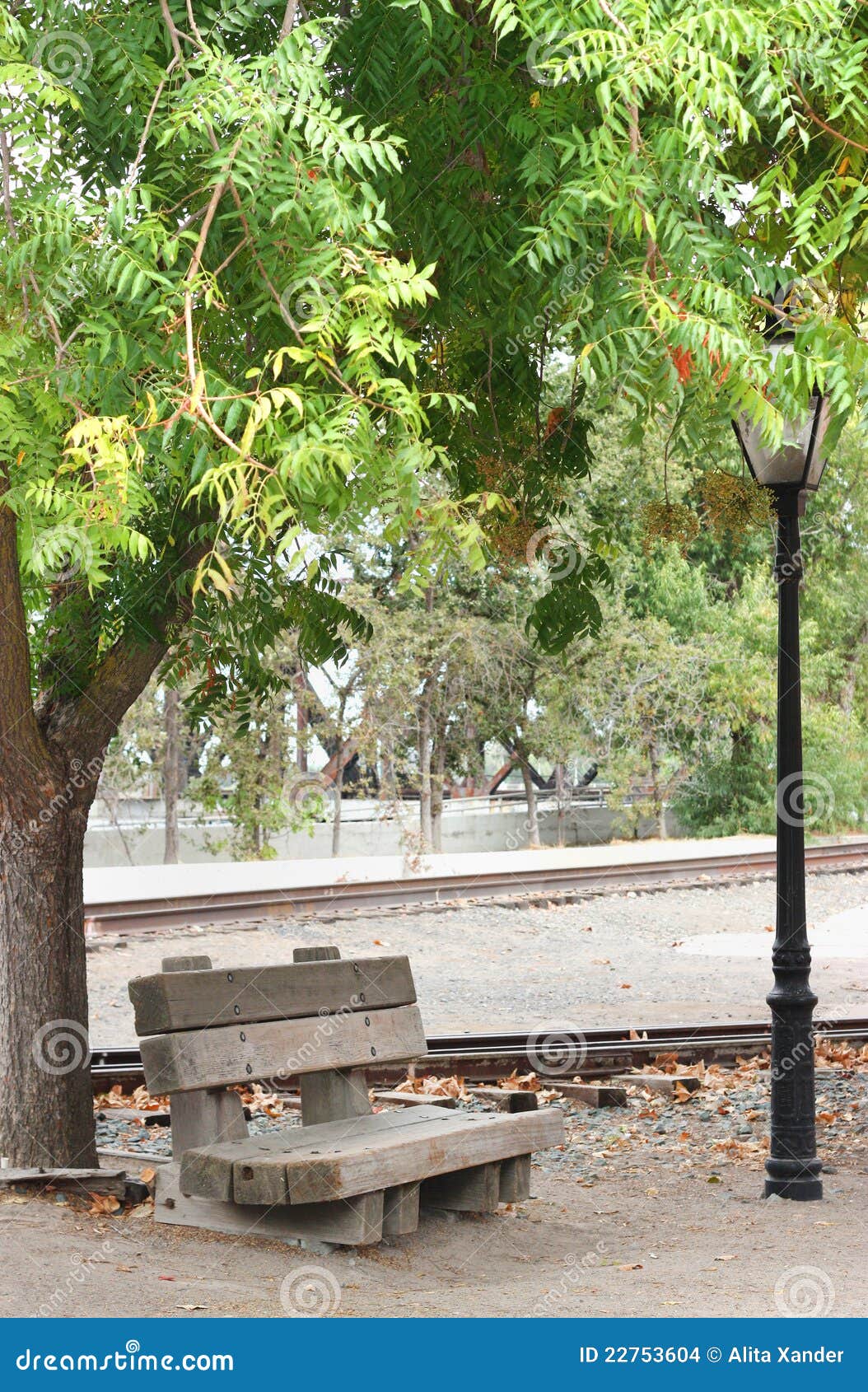 Old Bench stock photo. Image of park, object, relax, lawn - 22753604
