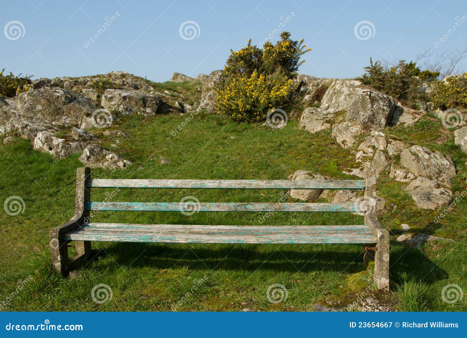 Old bench. stock image. Image of gorse, paint, stone - 23654667