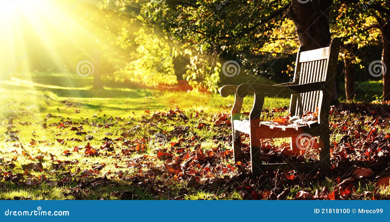 Old Bench with Autumn Leaves and Morning Sunlight Stock Photo - Image ...