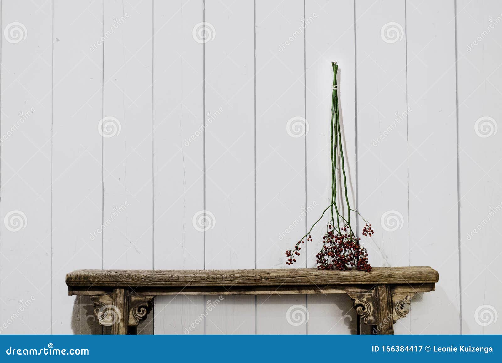 Old bench with brench stock image. Image of wall, background - 166384417