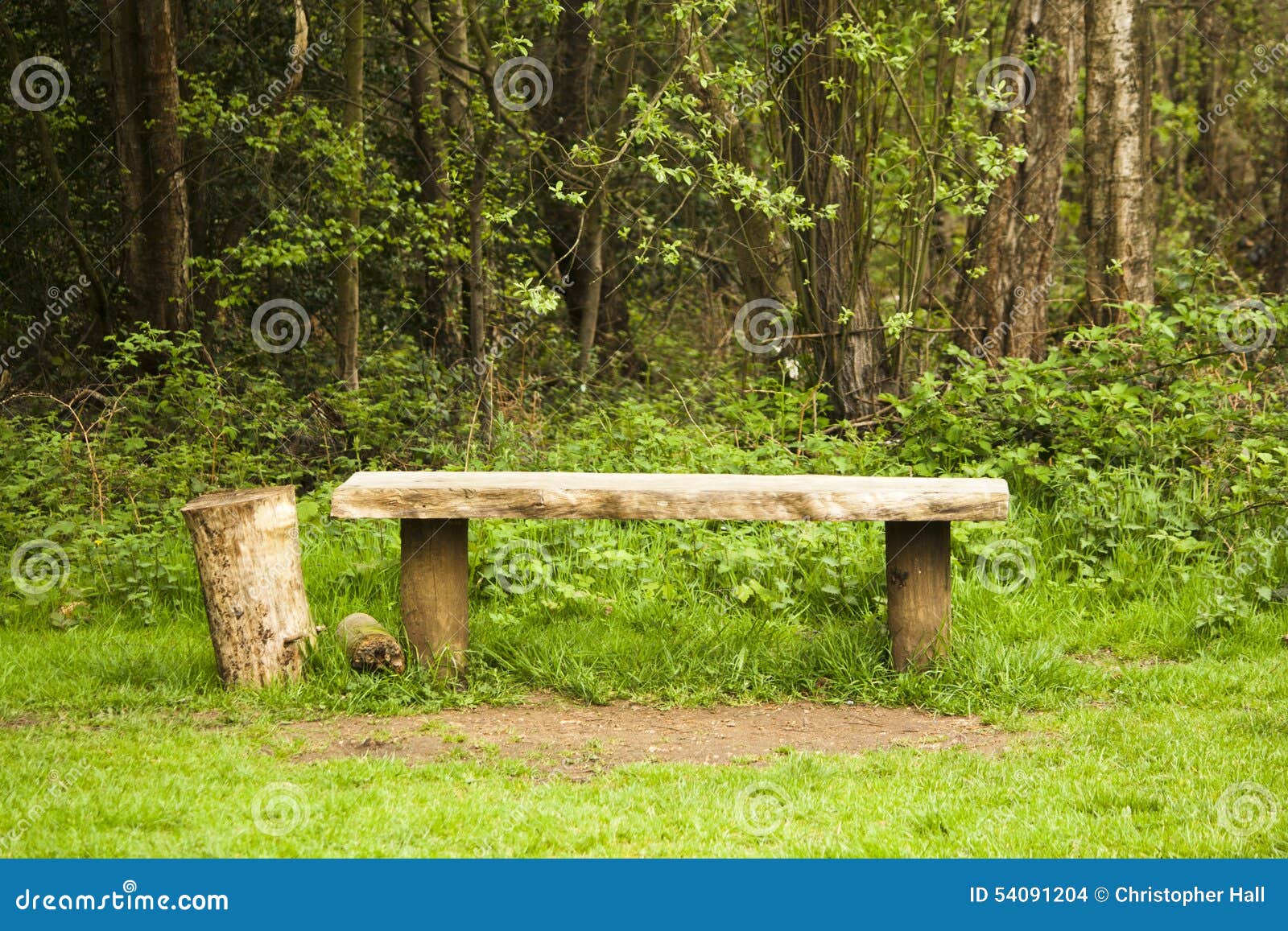 Old Bench Found in the Woods Stock Photo - Image of nature, park: 54091204