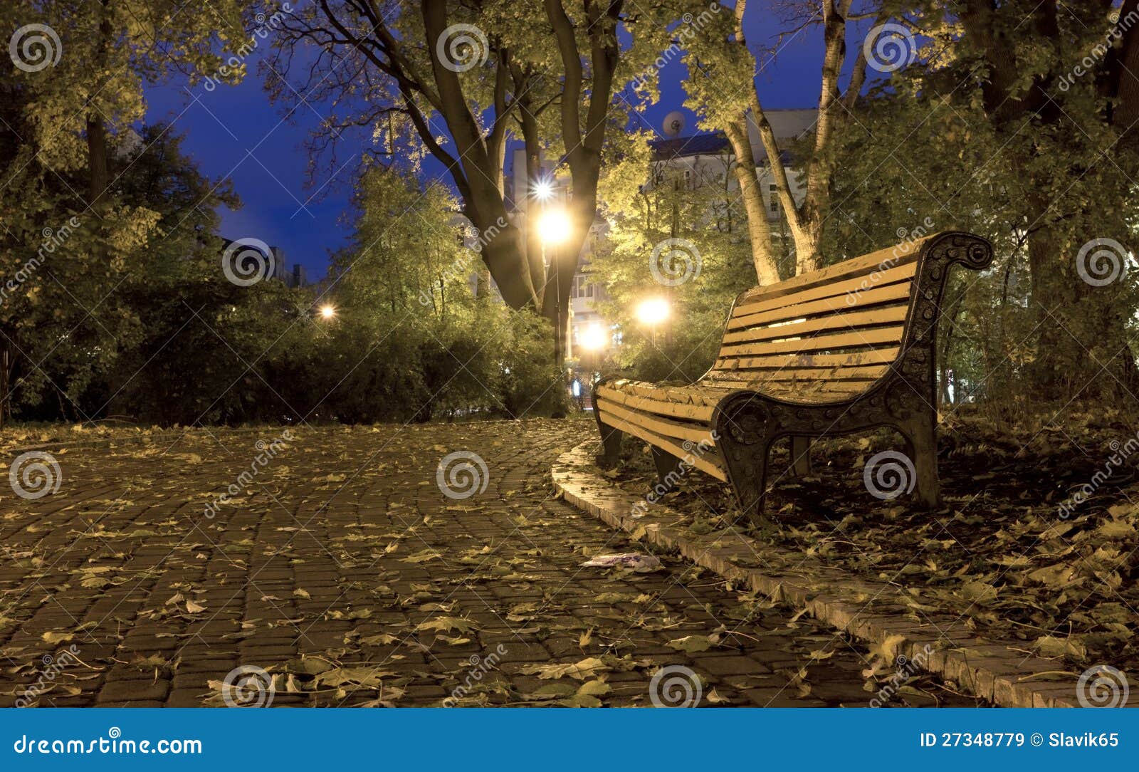 Old bench in night park stock image. Image of earth, night - 27348779