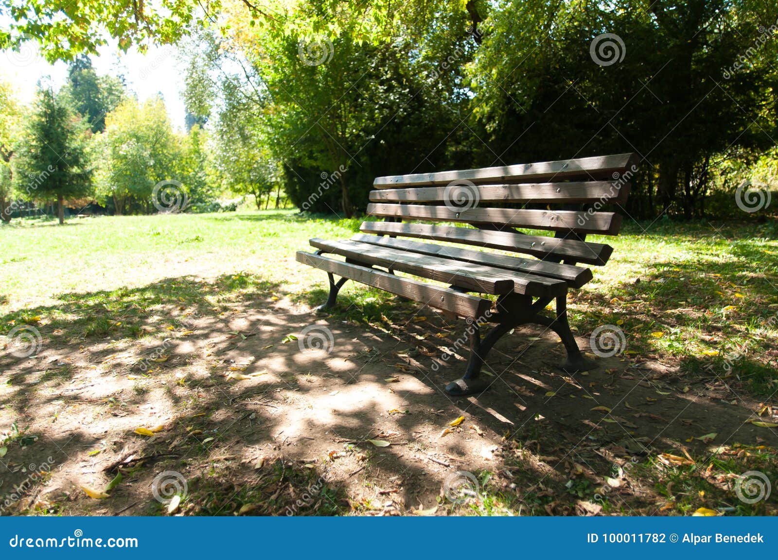 Old bench . stock photo. Image of grass, city, summer - 100011782