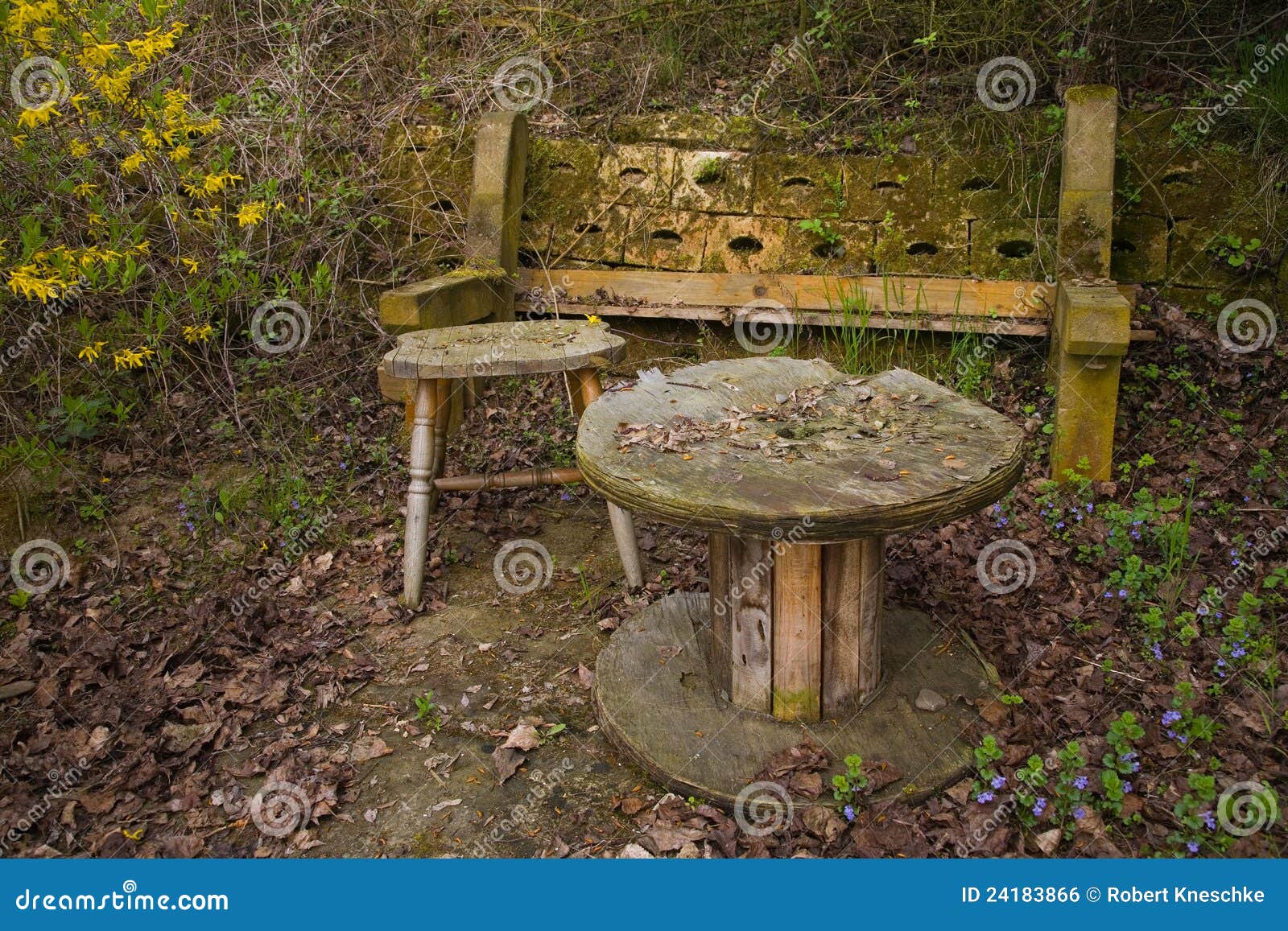 Old Bench and Table in Forest Stock Photo - Image of romantic, table ...
