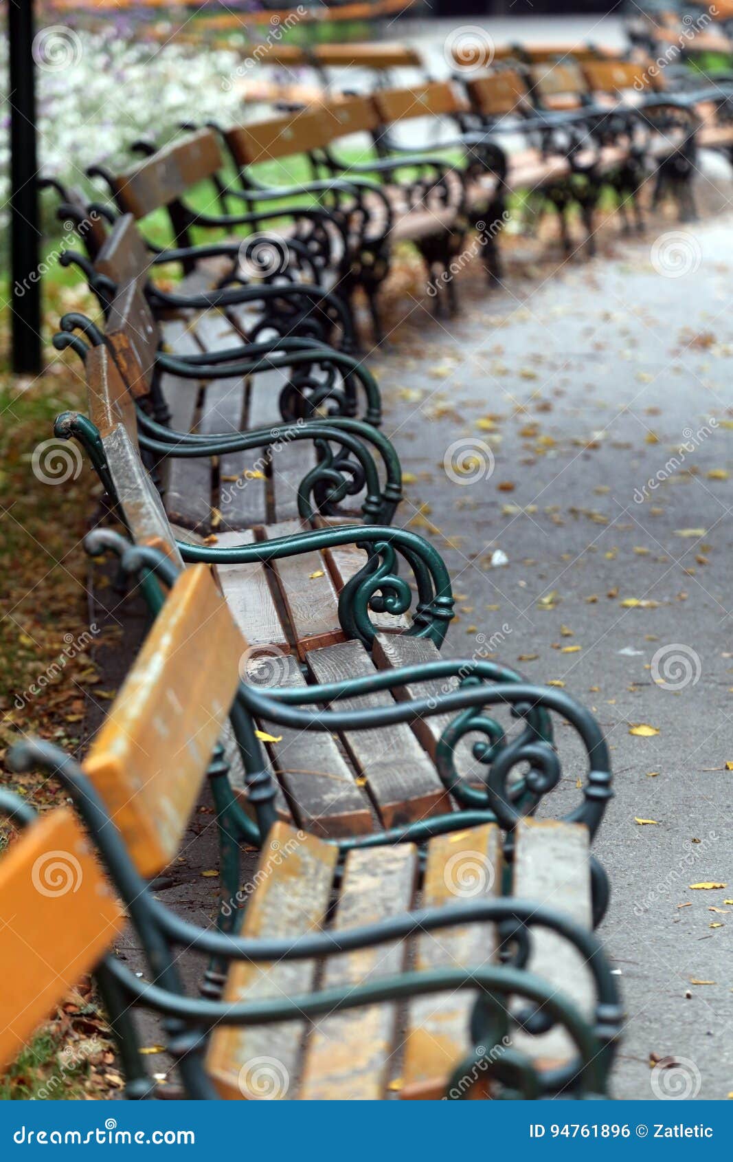 Old Benches in a Public Park in in Vienna Stock Photo - Image of ...