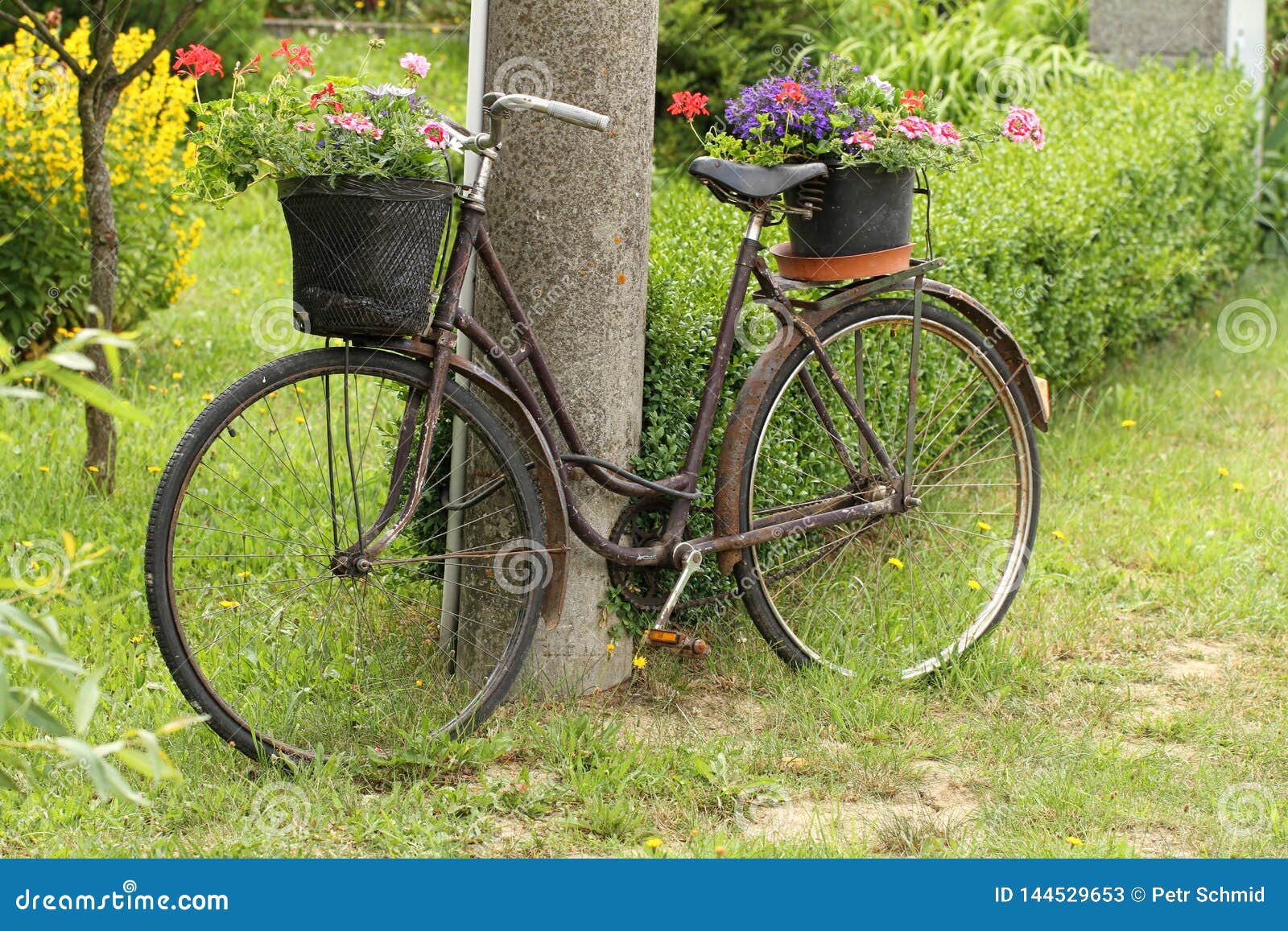 Bicycle with flower pots stock image. Image of ground - 144529653