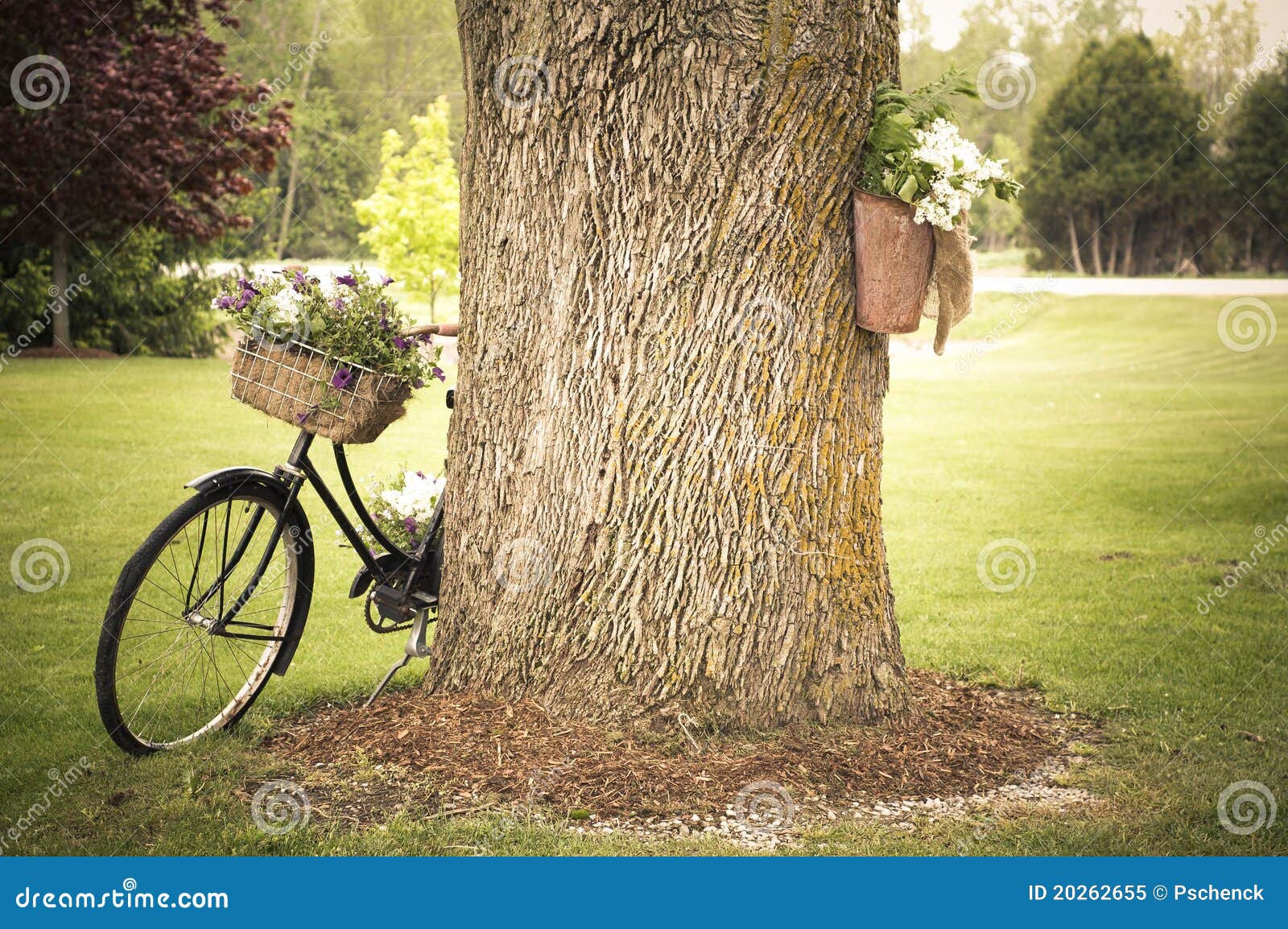 Old Bicycle with Flowers Leaning Against Tree Stock Image - Image of ...