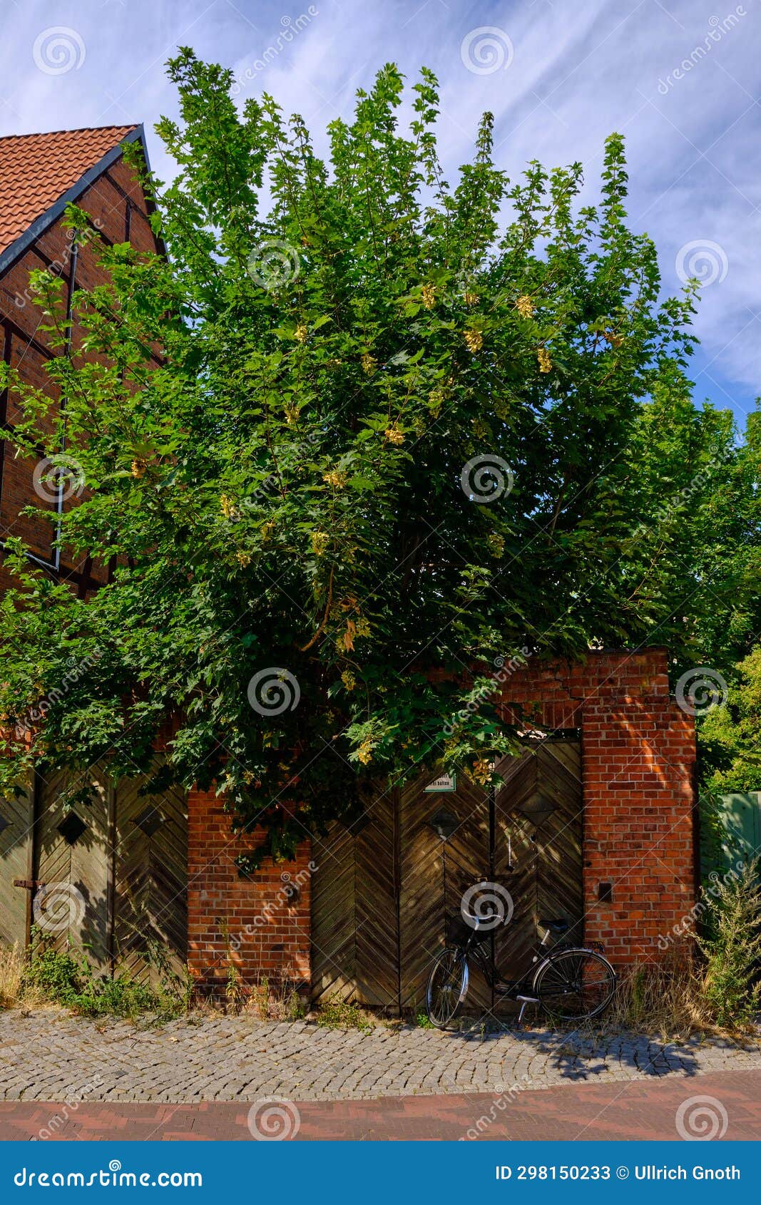 Old Bicycle in Front of a Run-down Yard Gate Stock Image - Image of ...