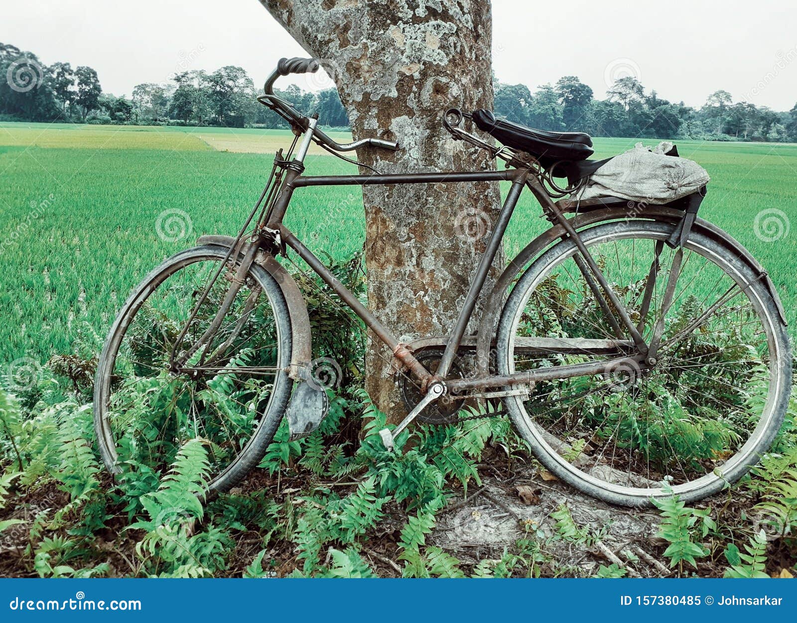 An Old Bicycle Parked with the Support of a Tree Stock Image - Image of ...