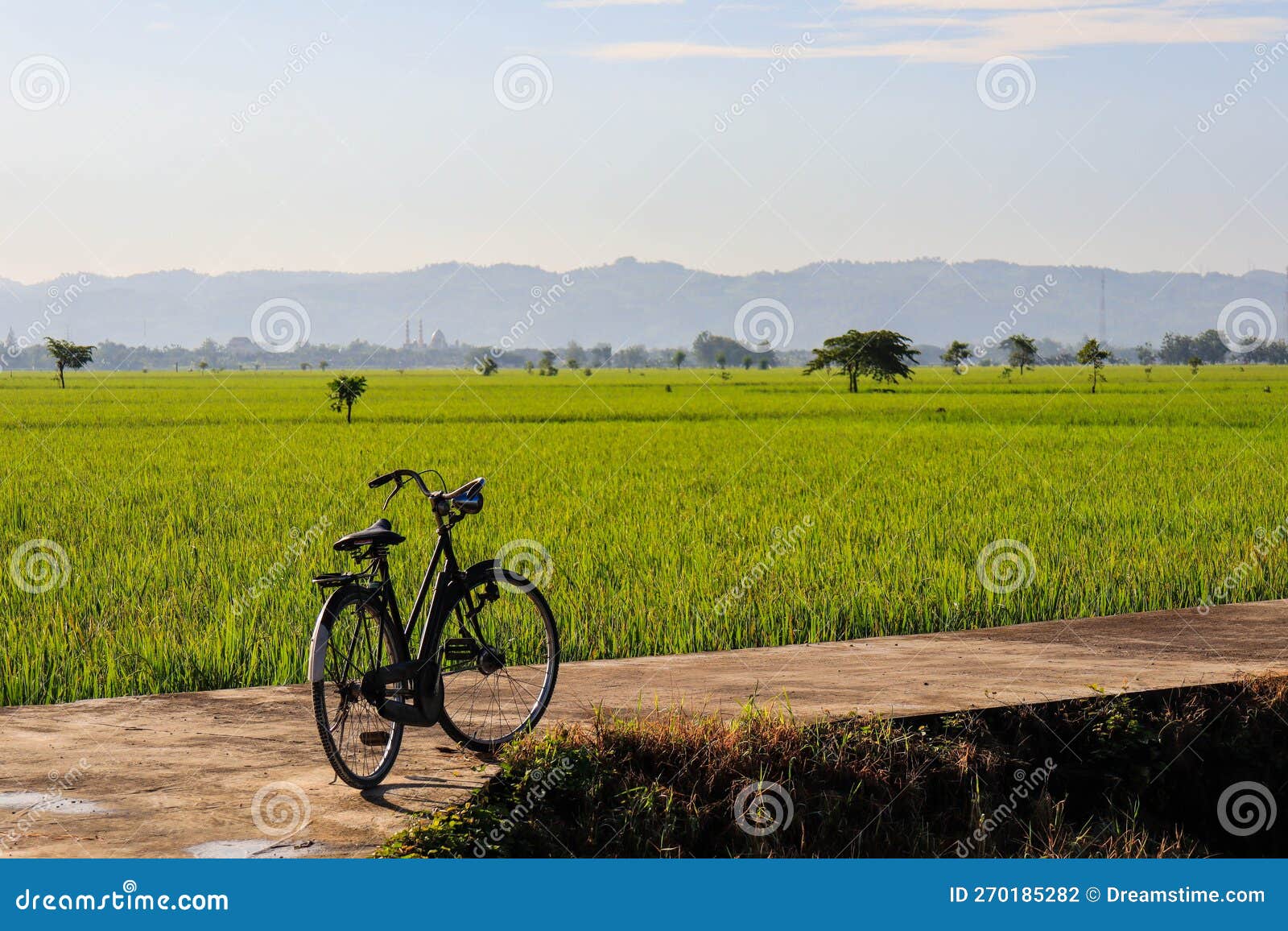 Old Bicycle with Rice Fields in the Background Editorial Photography ...