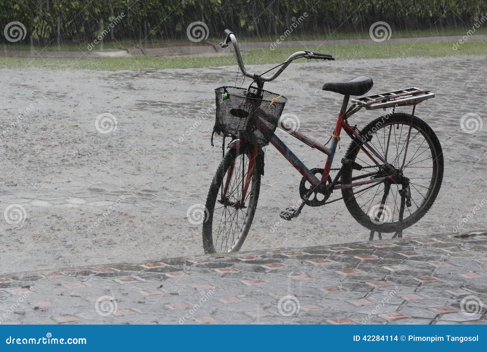 Old Bicycle on the Street in the Pouring Rain Stock Photo - Image of ...
