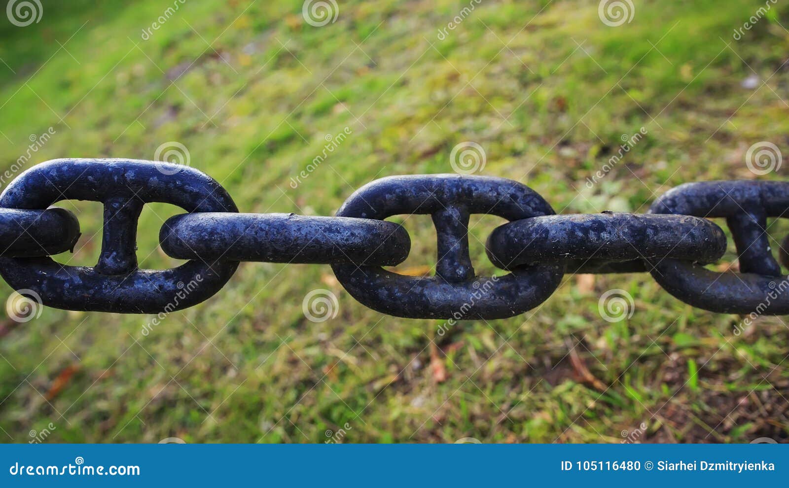 Old Big Chain. Large Black Metal Chain on Green Grass Background Stock ...