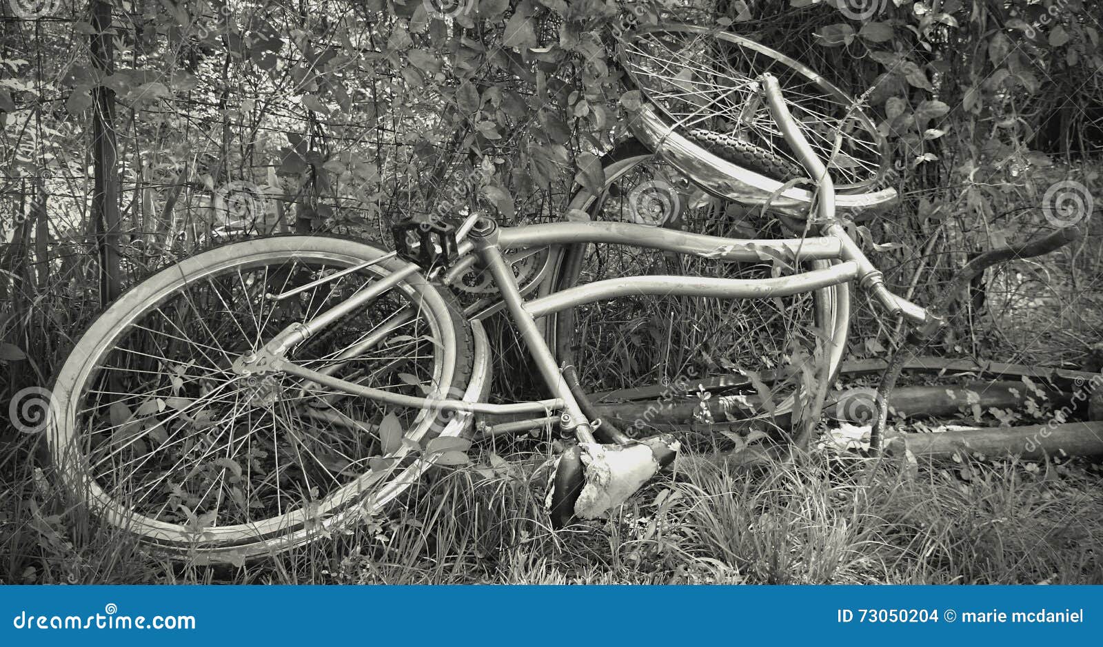 Old bike stock photo. Image of nature, outside, broken - 73050204