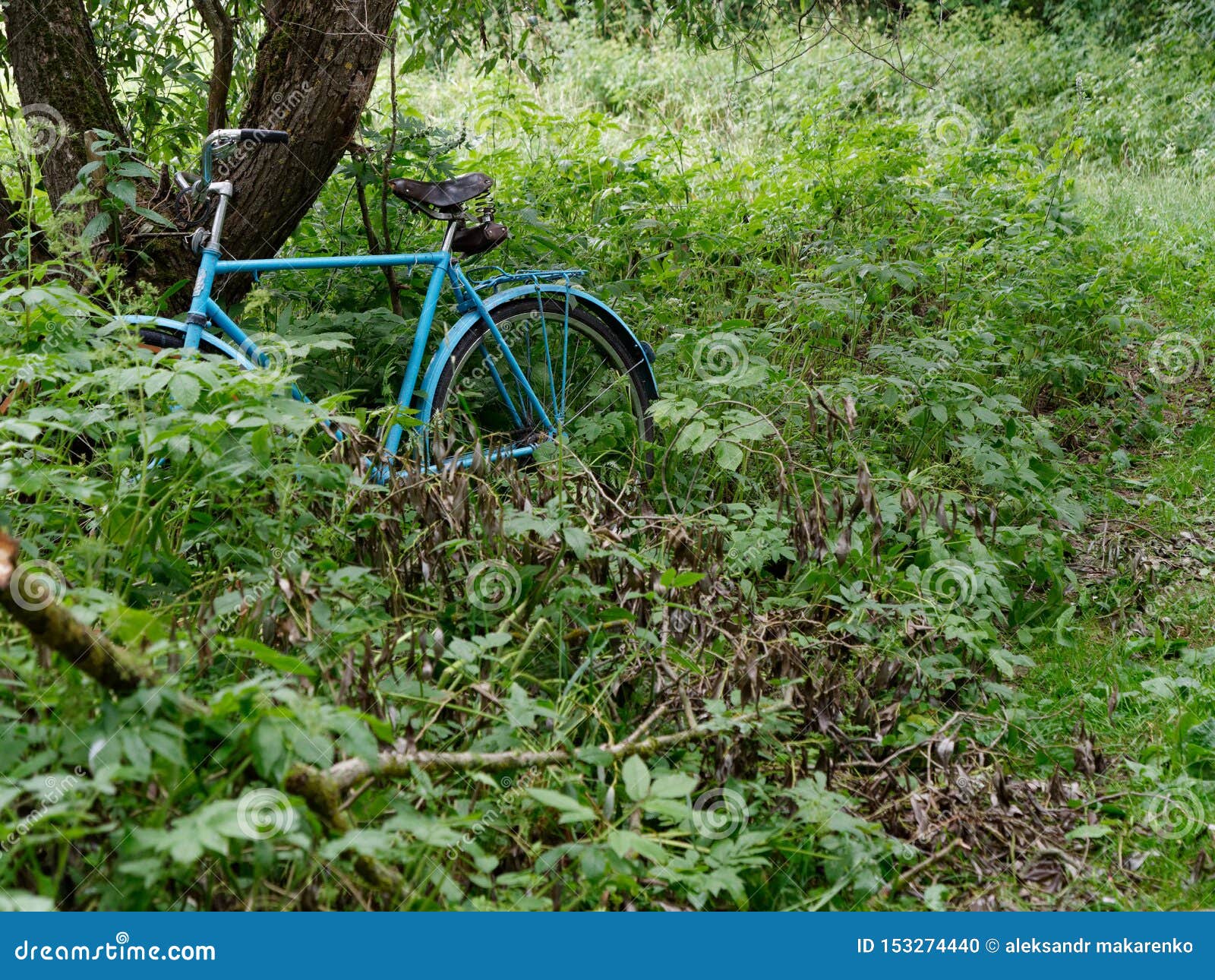 Old Bike Parked in the Bushes in Nature Stock Photo - Image of ...