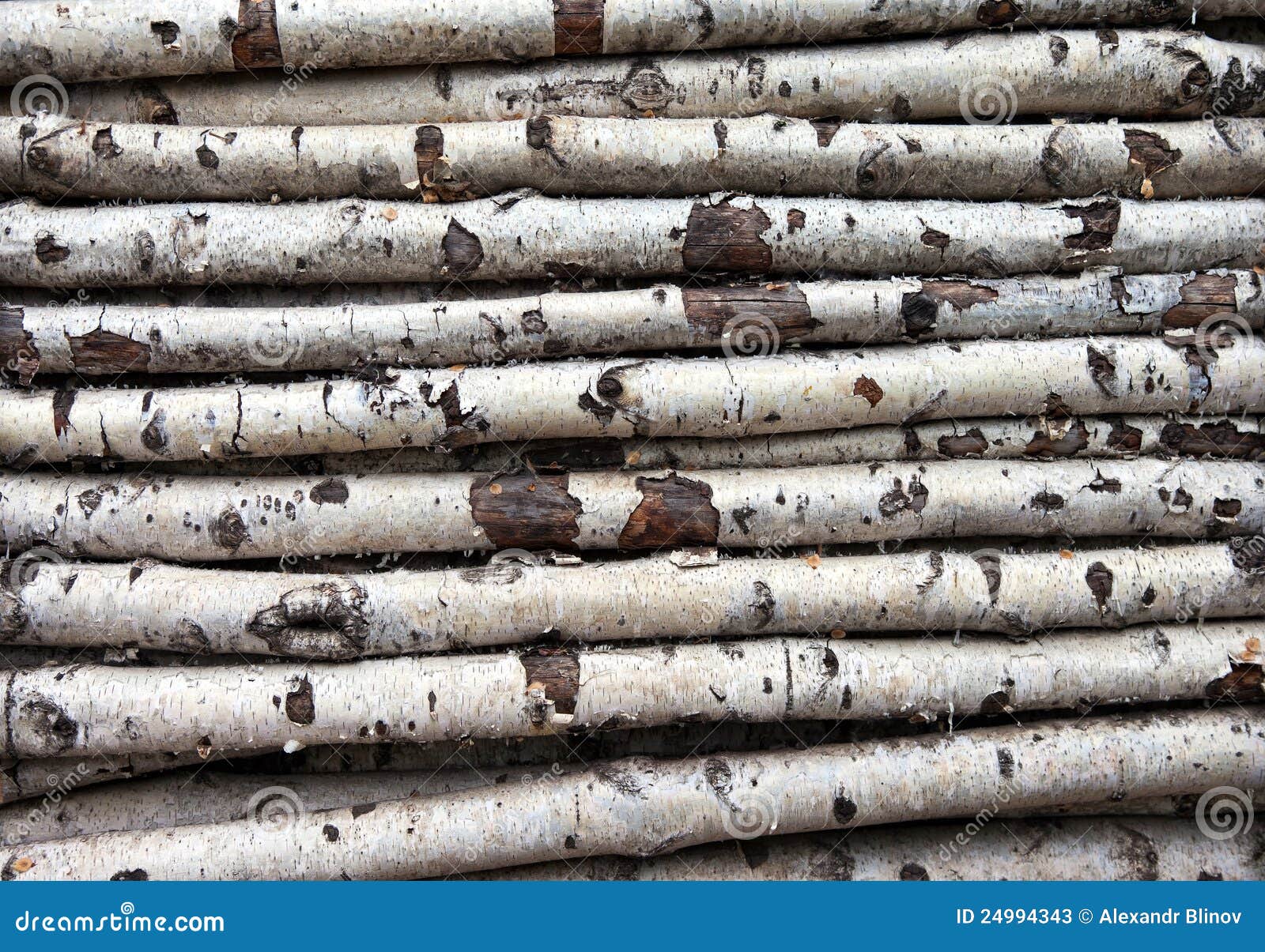 Old birch logs stock image. Image of decoration, rural - 24994343